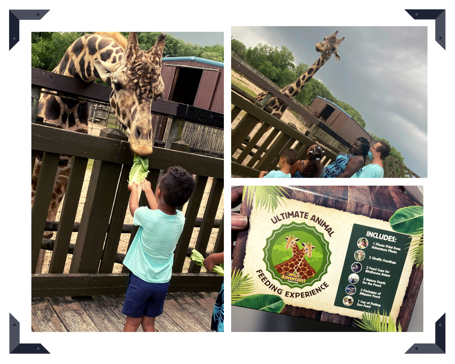 Let’s go Wild with Wild Adventures – Nifty Mama